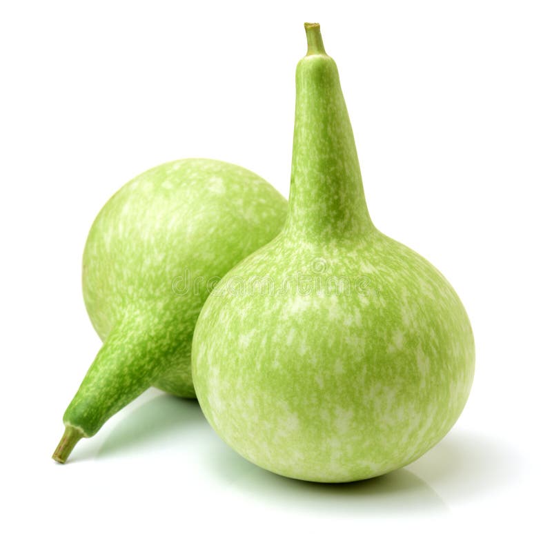 Calabash Vegetable Also Known As Bottle Gourd, White-flowered Gourd ...