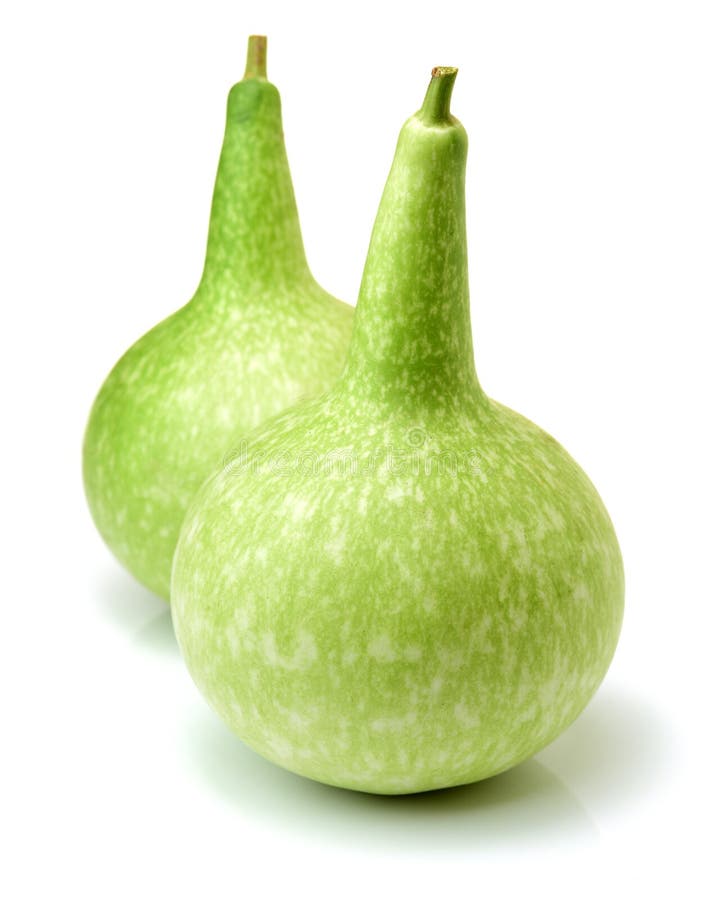 Calabash, Bottle Gourd and Leaves Stock Photo - Image of leaves, autumn ...