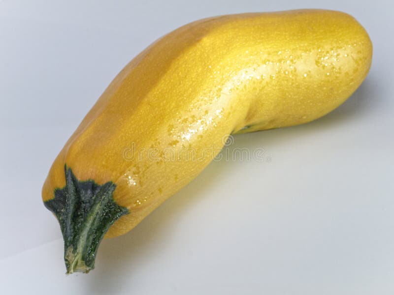 imágenes comunes del Calabaza Larga - los derechos de la transferencia ...