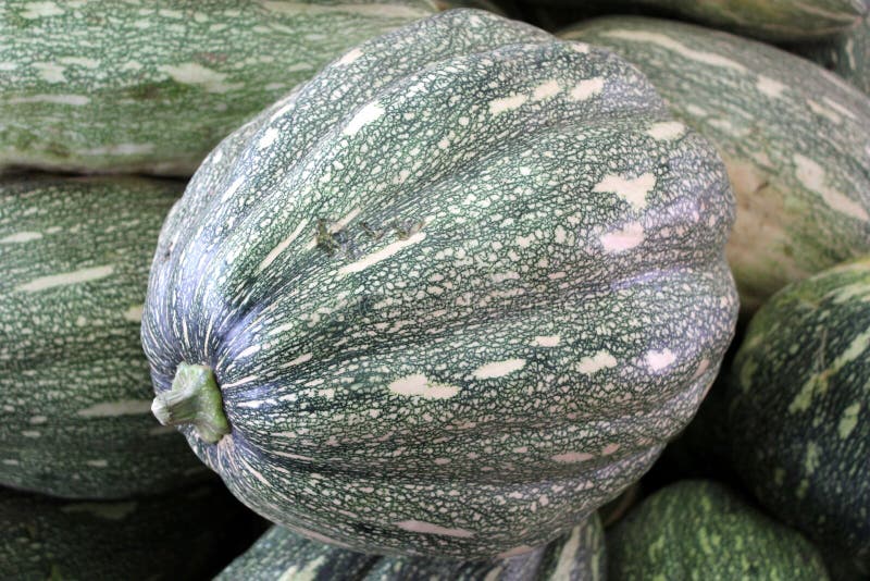 Calabaza de Ayote foto de archivo. Imagen de verde, amarillo - 35136694