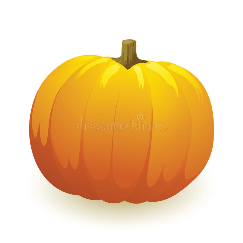 Calabaza del vector ilustración del vector. Ilustración de planta ...