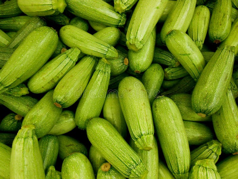 Calabaza verde mexicana foto de archivo. Imagen de fondos - 123255576