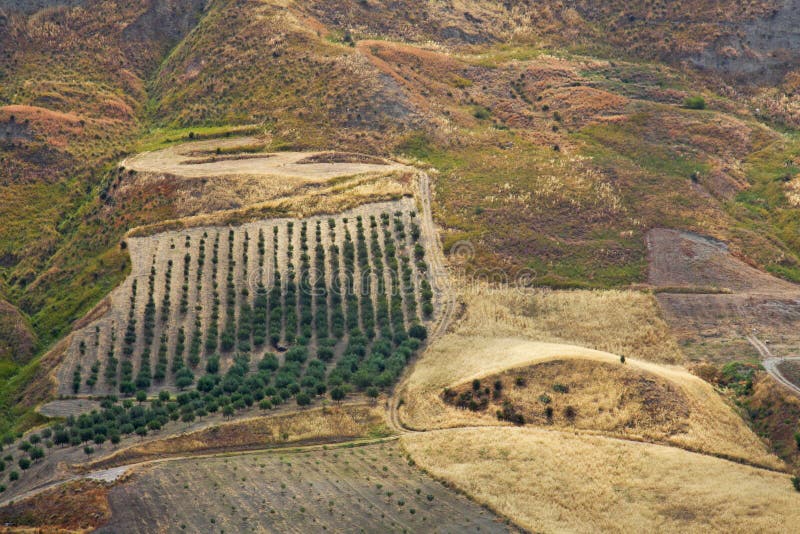 Calabria landscape stock photo. Image of homegrown, patchwork - 13421674