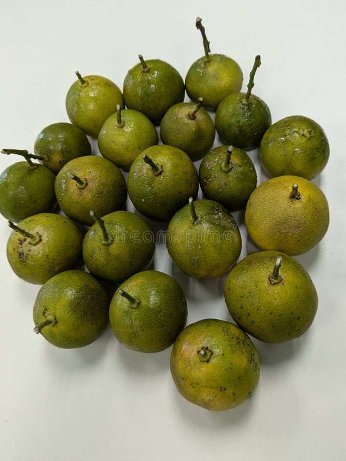 Calamansi Also Known As Citrus X Microcarpa Stock Image - Image of ...