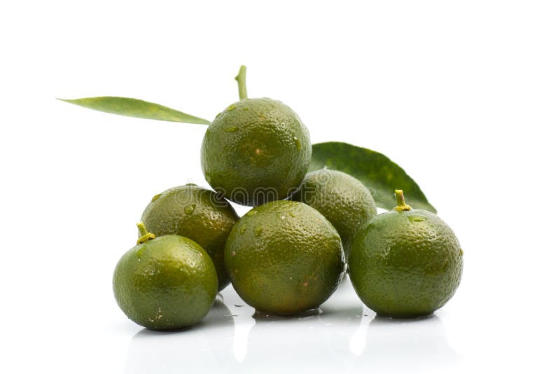 Calamansi with Green Leaf on Isolated Background Stock Image - Image of ...