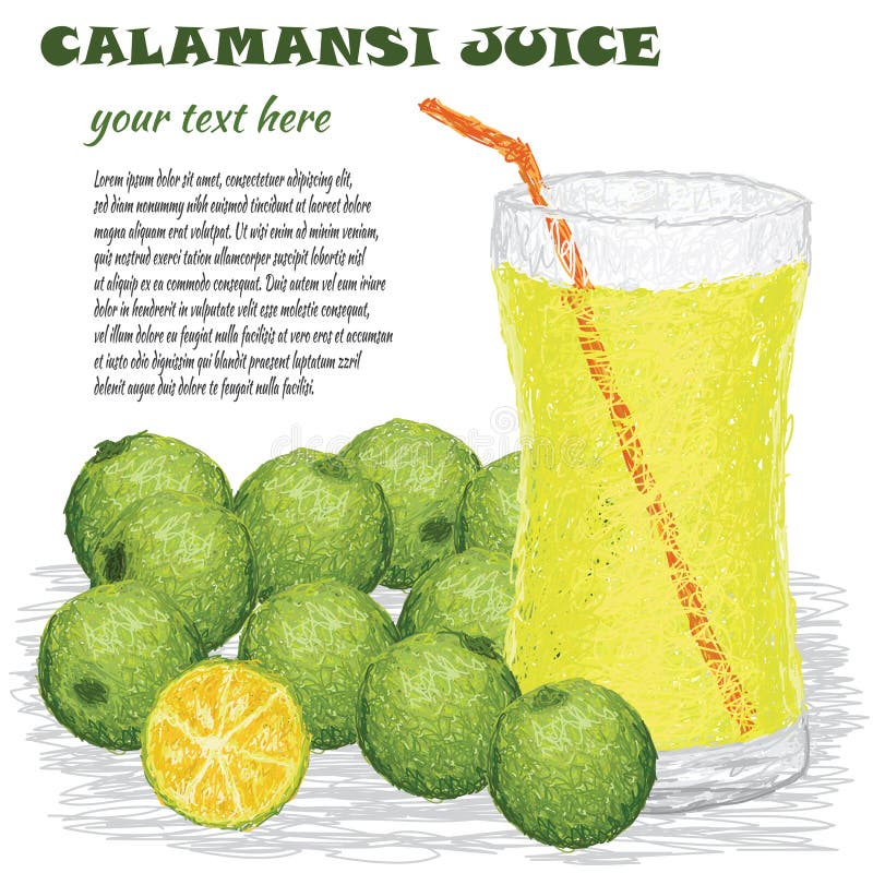 Calamansi or Green Orange Fruits Vector Illustration.Set of Green ...