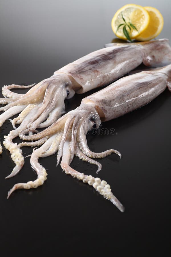 Chocos Crus E Frescos Calamar Espanhol Choco Imagem de Stock - Imagem ...