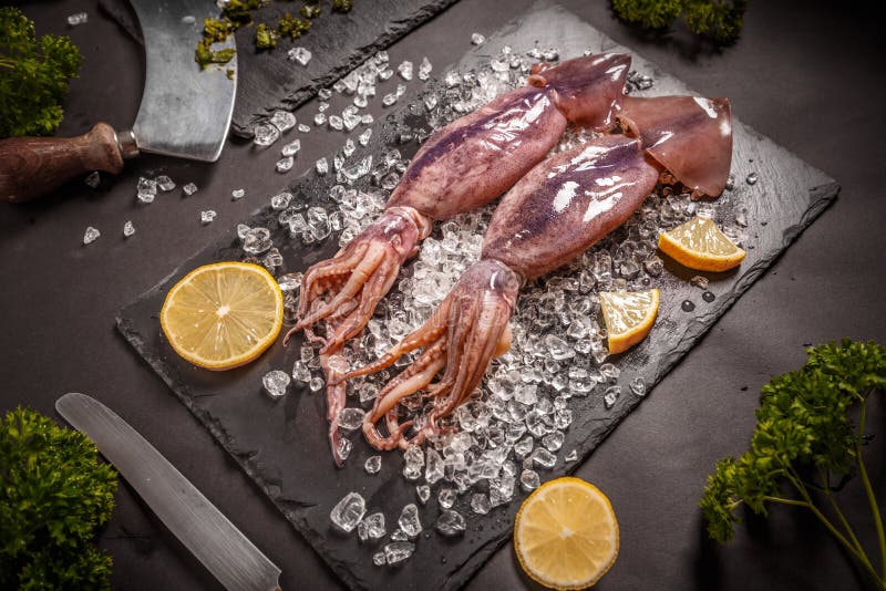 Calamar cru fresco imagem de stock. Imagem de invertebrado - 98847863