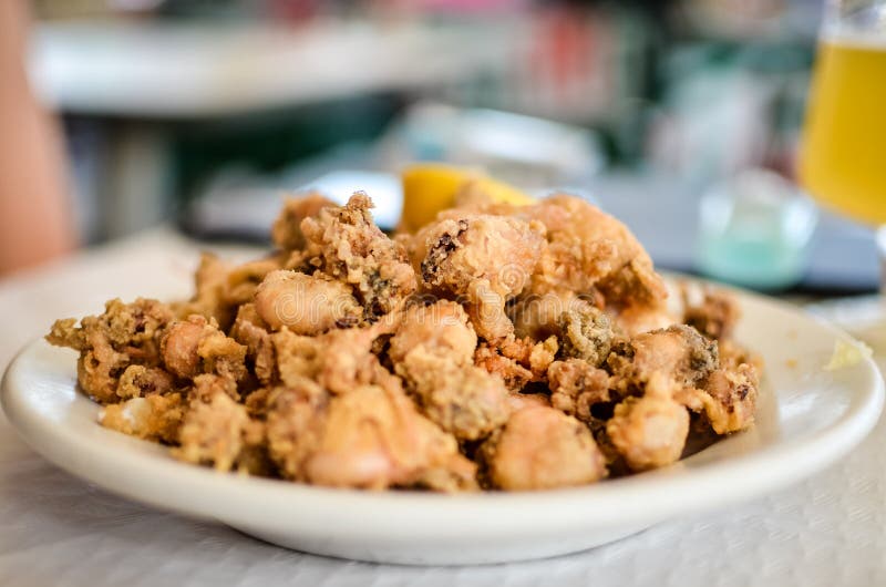 Calamar del bebé III imagen de archivo. Imagen de rocas - 7792017