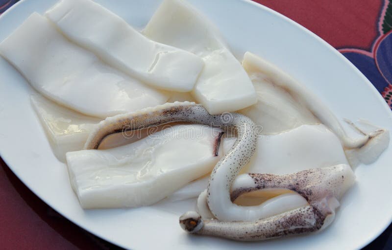 Calamar Fresco En La Caja De Hielo Foto de archivo - Imagen de mariscos ...