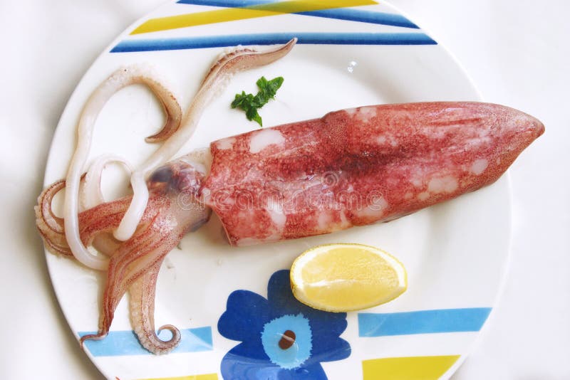 Calamar fresco en un plato foto de archivo. Imagen de marina - 27885578