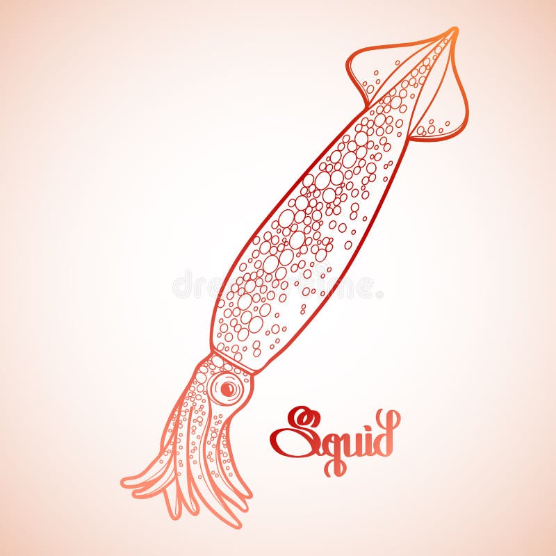 Calamar gráfico, vector ilustración del vector. Ilustración de coma ...