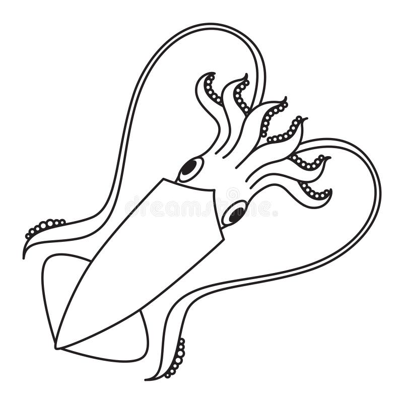 Calamar gráfico, vector ilustración del vector. Ilustración de coma ...