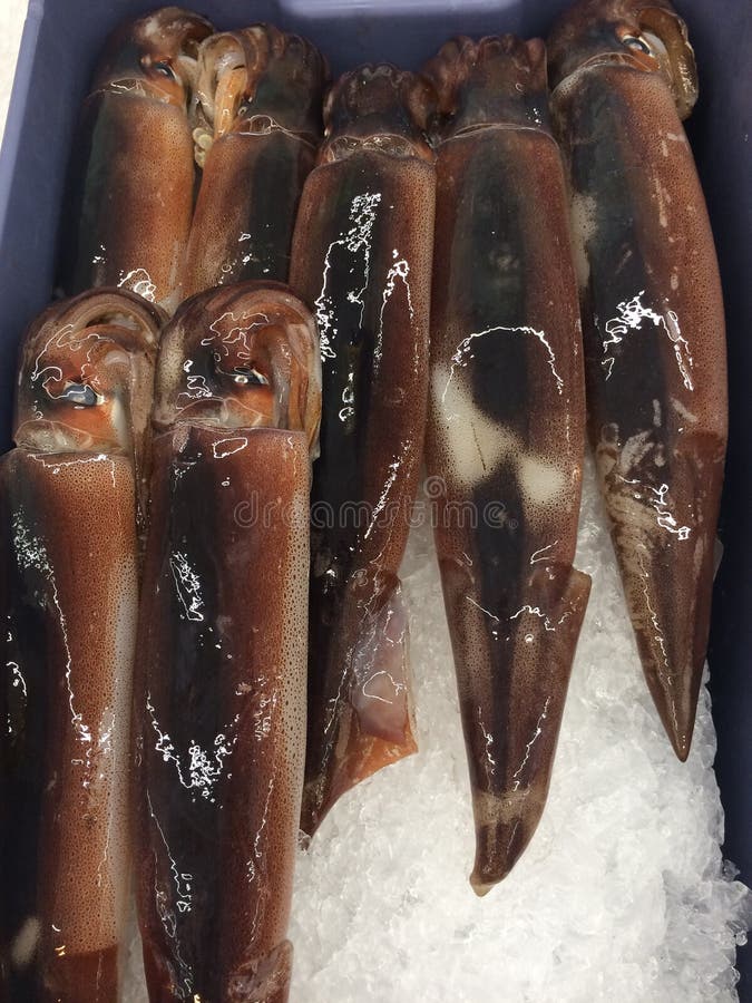 Calamar Para La Venta En El Mercado Tailandés De La Noche De La Calle ...