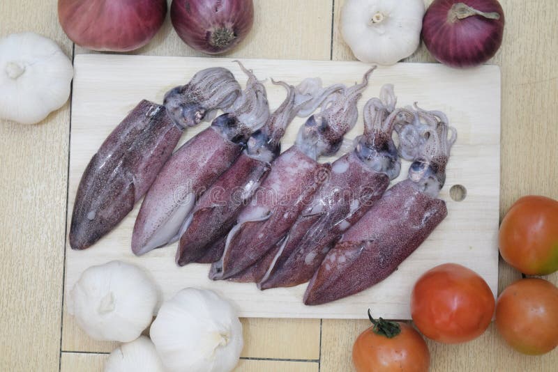 Calamares crudos foto de archivo. Imagen de cuadro, delicioso - 158653932