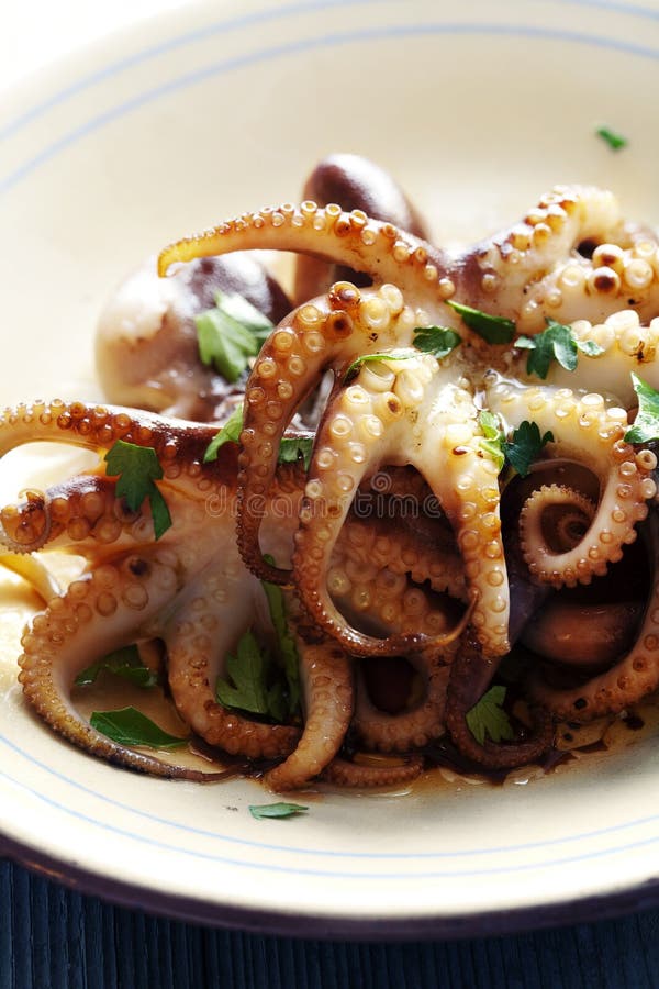 Calamari stock photo. Image of food, seafood, squid, healthy - 10540174