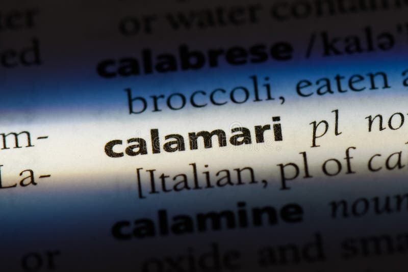 Calamari stock photo. Image of page, dictionary, definition - 114405610