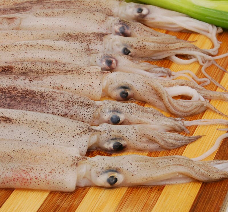 Calamaro Fresco Dei Calamari Ai Mercati Dei Frutti Di Mare Immagine ...