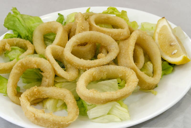 Calamari stock photo. Image of lemon, rings, appetizer - 64406600