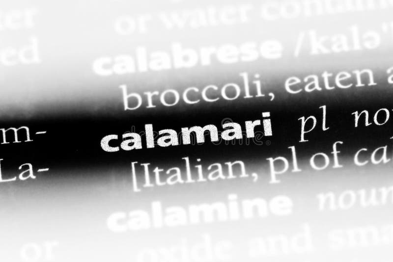 Calamari stock image. Image of info, concept, calamari - 114407825
