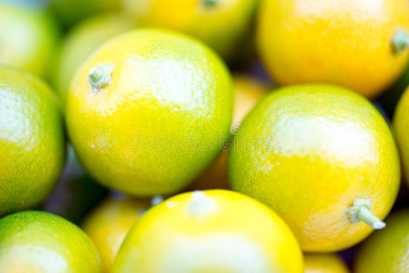 Calamondin Fruit Macro stock photo. Image of bunch, drinks - 95596878