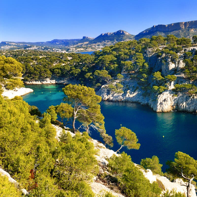 Calanque of Cassis stock image. Image of pine, coast - 24700745