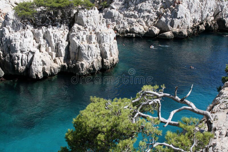 Calanques stock photo. Image of green, cliffs, pine, marseille - 3145390