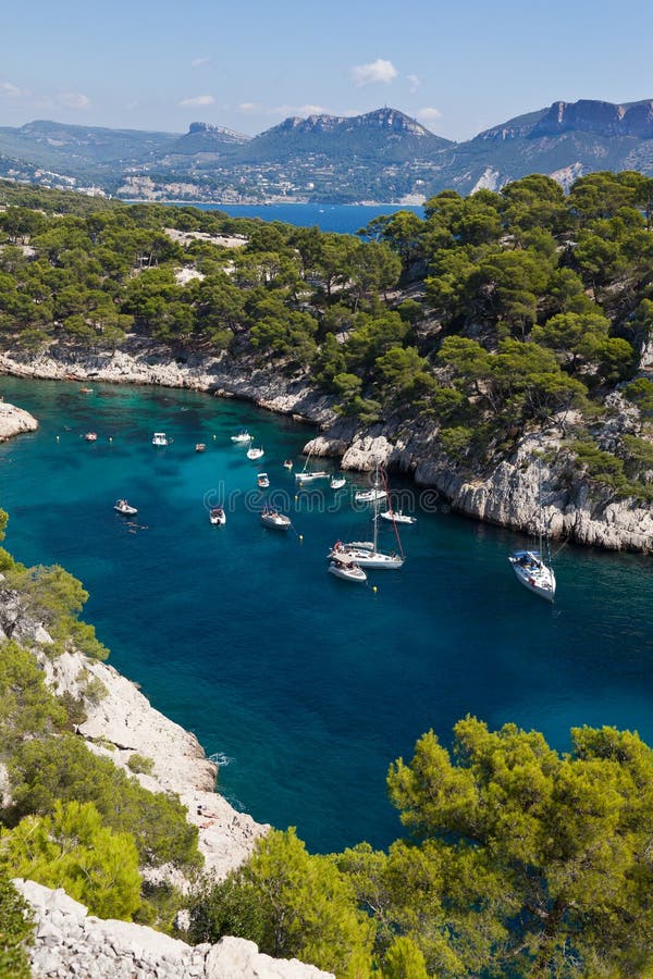 Calanques of Port Pin in Cassis Stock Photo - Image of pine ...