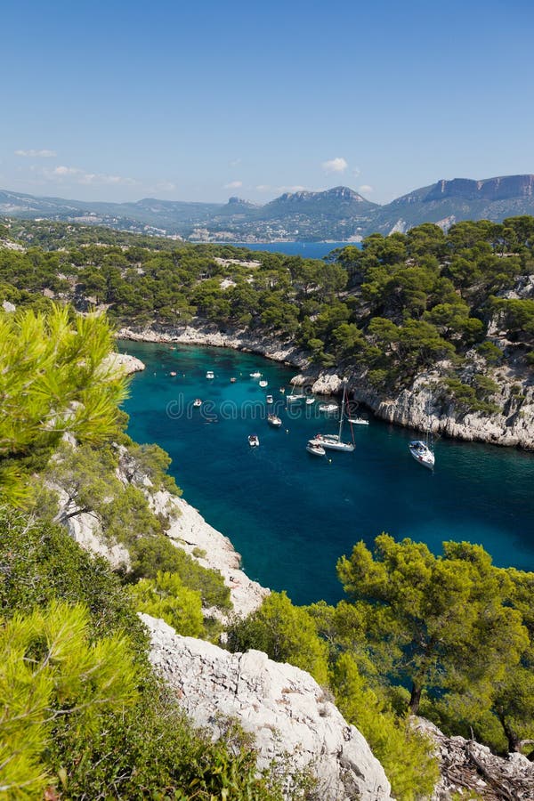 Calanques of Port Pin in Cassis Stock Photo - Image of cliff, pinewood ...