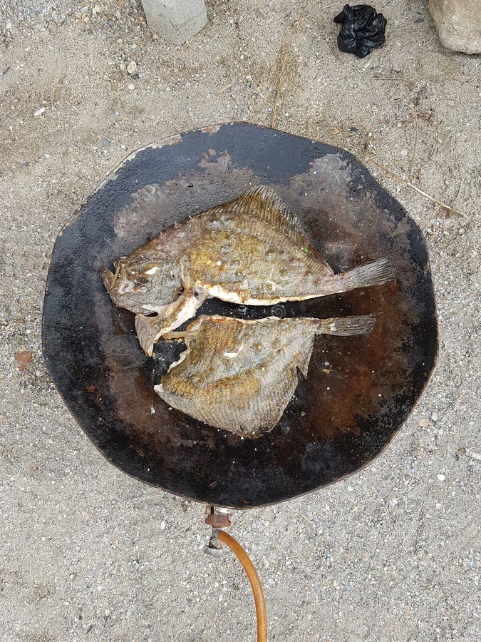 Calcan Barbeq Stock Photos - Free & Royalty-Free Stock Photos from ...