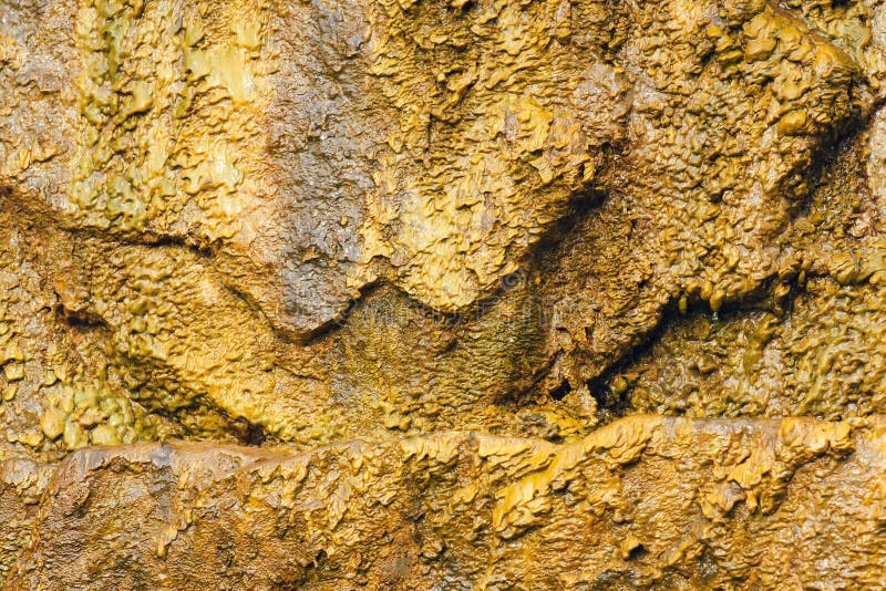Calcification surface stock photo. Image of wall, background - 32960462