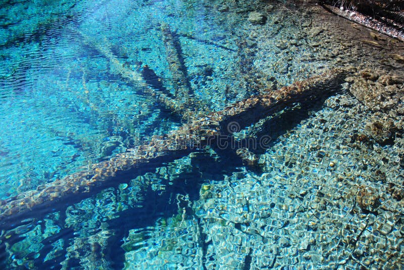 Calcified wood in water stock image. Image of color, water - 12619935