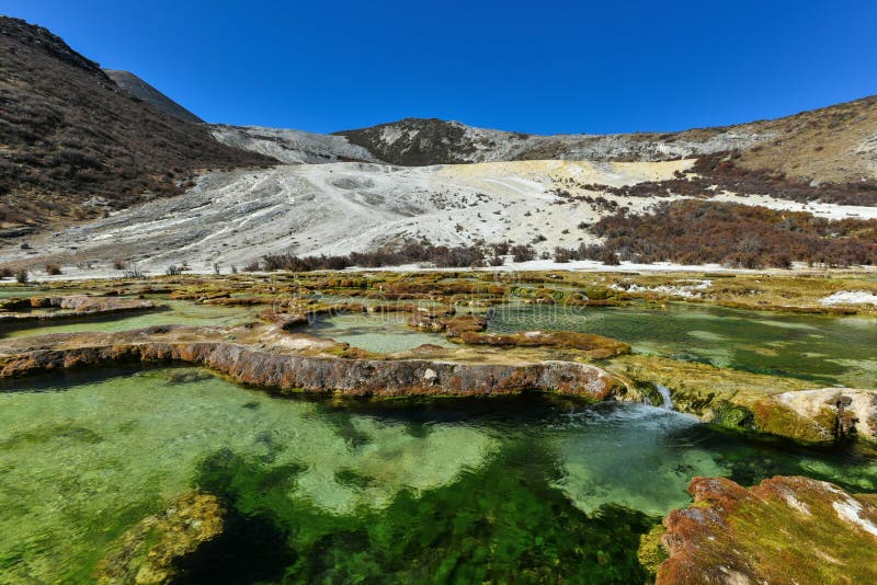 Calcify stock photo. Image of page, closeup, info, definition - 114407860