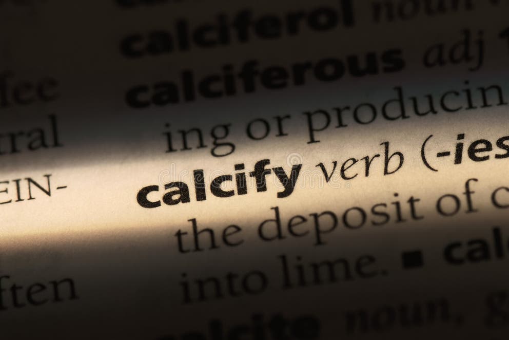 Calcify stock photo. Image of dictionary, info, paper - 114411746