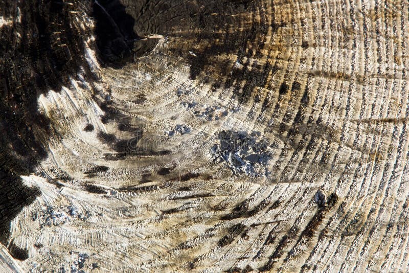 Transverse Streaks Stock Photos - Free & Royalty-Free Stock Photos from ...