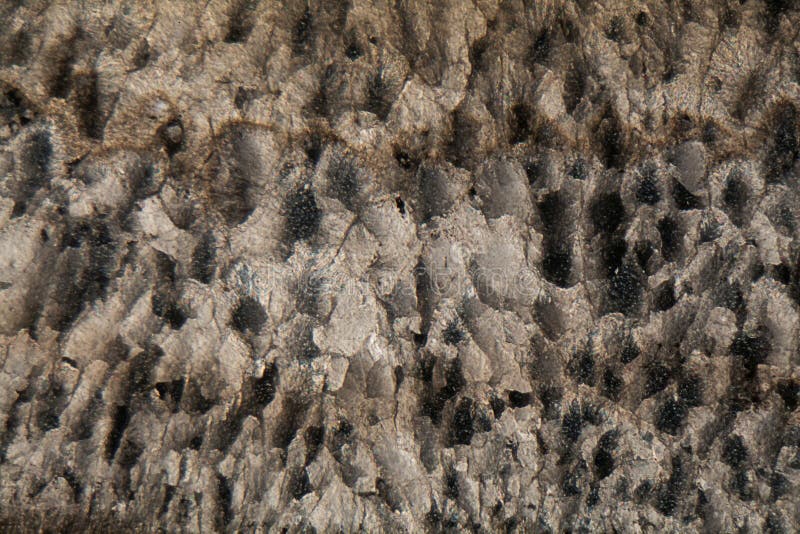 Calcite Crystals Under a Microscope Stock Photo - Image of material ...