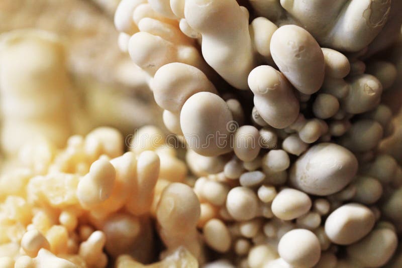 Calcite Stalactite Mineral Texture Stock Photo - Image of stalagmites ...