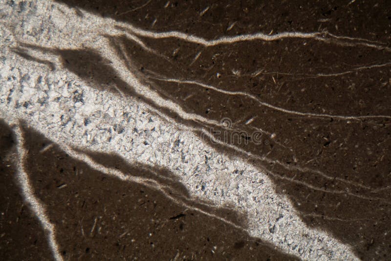 Calcite Vein in a Mudstone Under a Microscope Stock Image - Image of ...