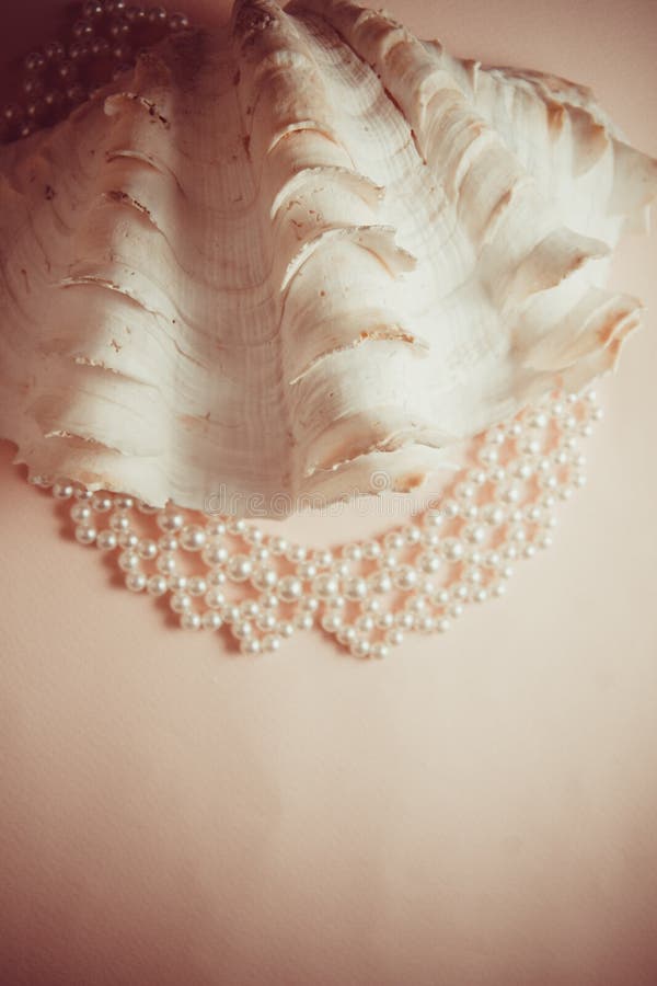 Calcium shells stock photo. Image of medical, beautiful - 72963378