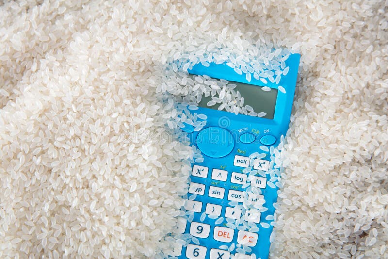 Calculator Buried in the Rice Stock Photo - Image of livelihood, grain ...