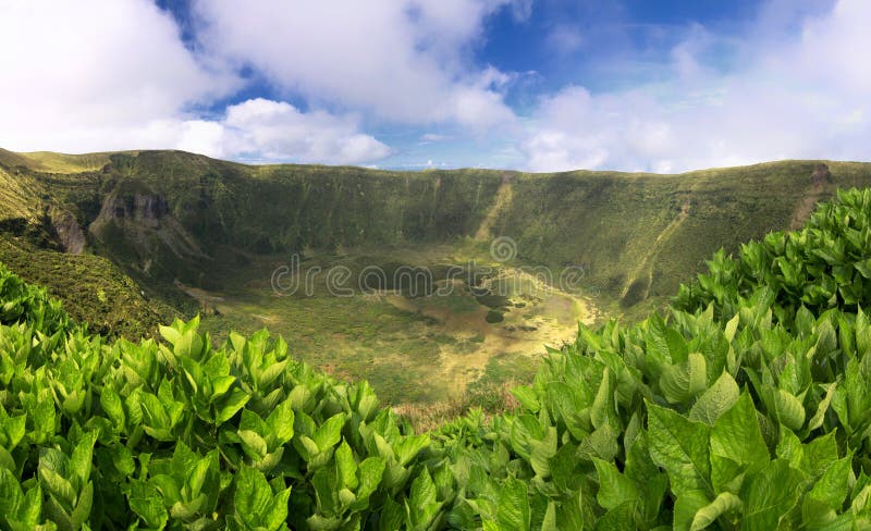 Vulkanische Caldeira Van Faial, De Azoren Stock Afbeelding - Image of ...