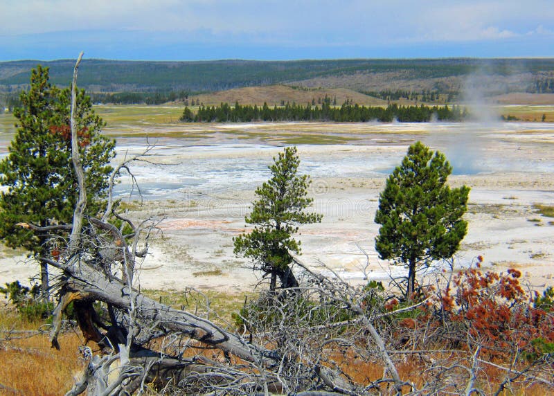Caldera Van De Yellowstone De Hete Lentes in De Recente Zomer Stock ... Caldera Van De Yellowstone De Hete Lentes in De Recente Zomer Stock ...