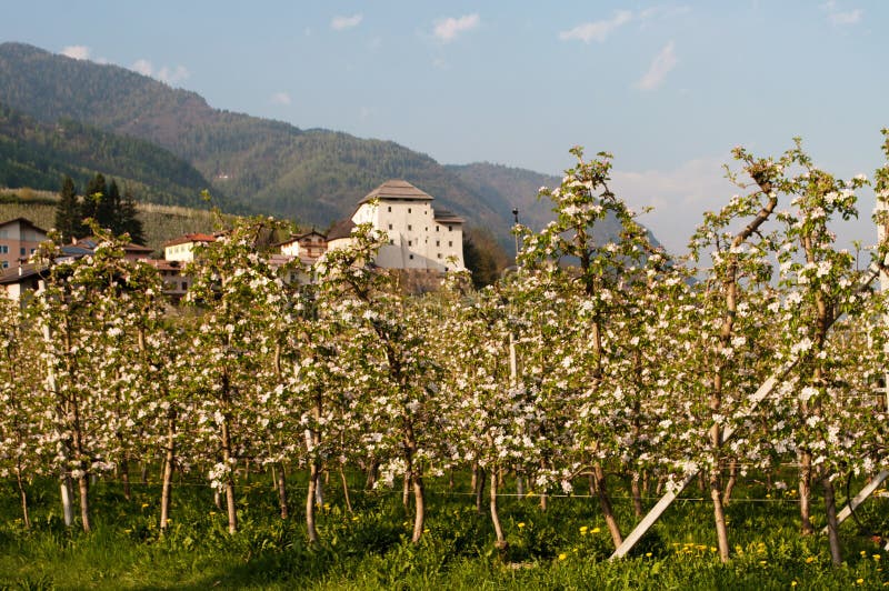 Caldes, Trentino, Italy stock image. Image of alto, spring - 108417485