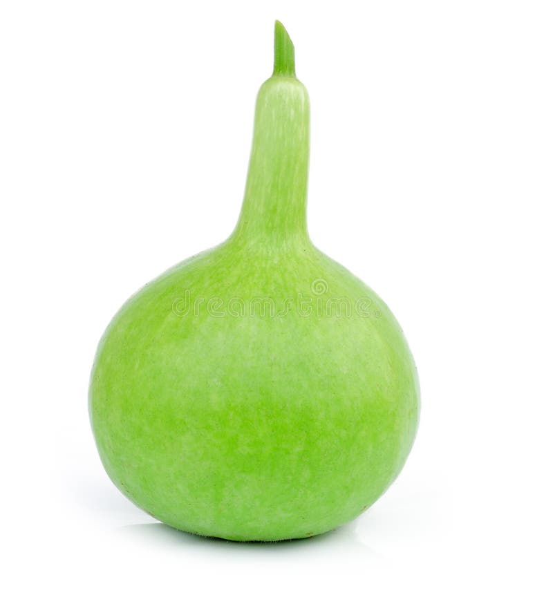 9,156 Calebasse Photos libres de droits et gratuites de Dreamstime
