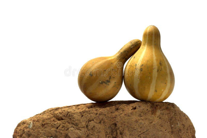 9,797 Calebasse Photos libres de droits et gratuites de Dreamstime