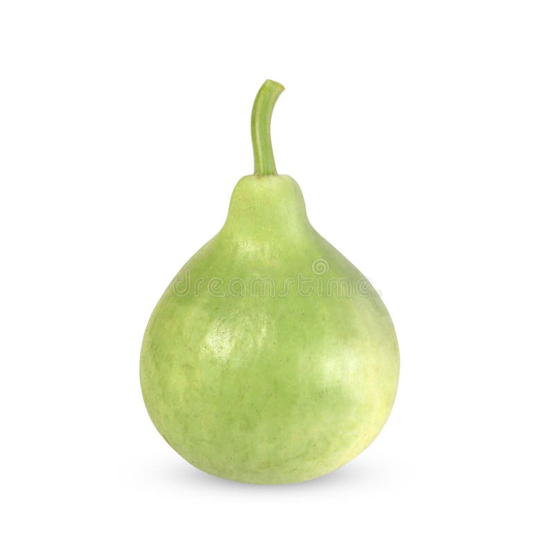 Calebasse, Courge De Bouteille Image stock - Image du ingrédient, goût ...