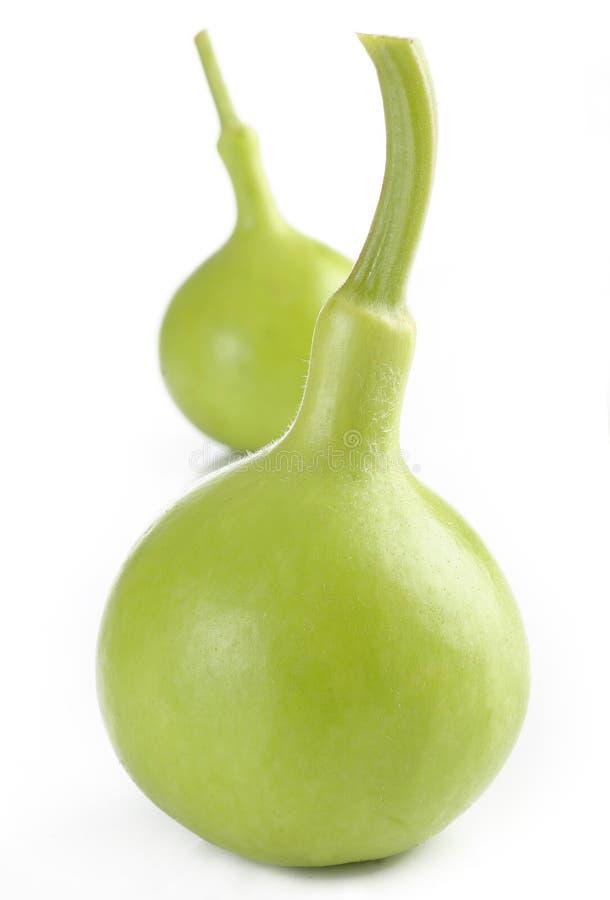 Photos de Calebasse Verte Comestible - Photos de stock gratuites et ...