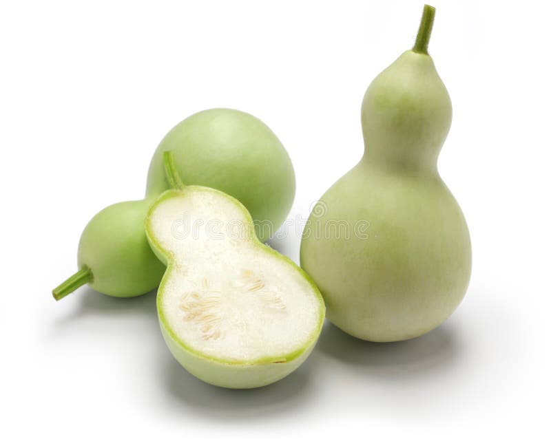 Calebasse verte comestible image stock. Image du indien - 44325545