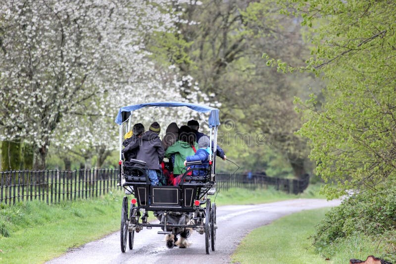 Caleche editorial photo. Image of passengers, leisure - 50252246