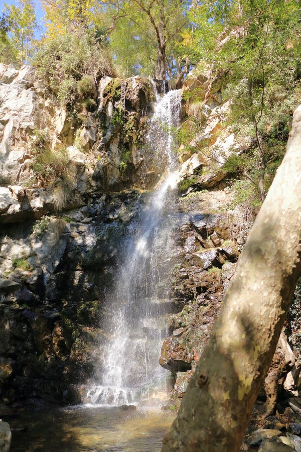 Waterfall, Troodos Cyprus stock image. Image of leaves - 22482025